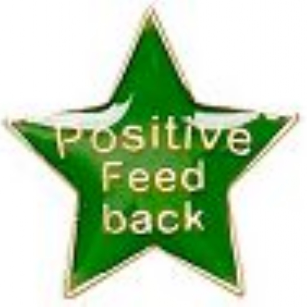 Hamsey Green Primary School - Visitor Feedback