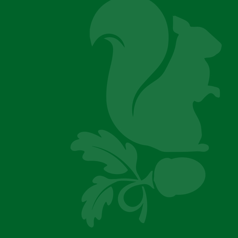 Hamsey Green Primary School - Home